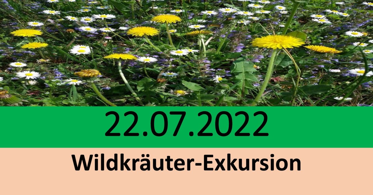 Wildkräuter-Exkursion | Startseite